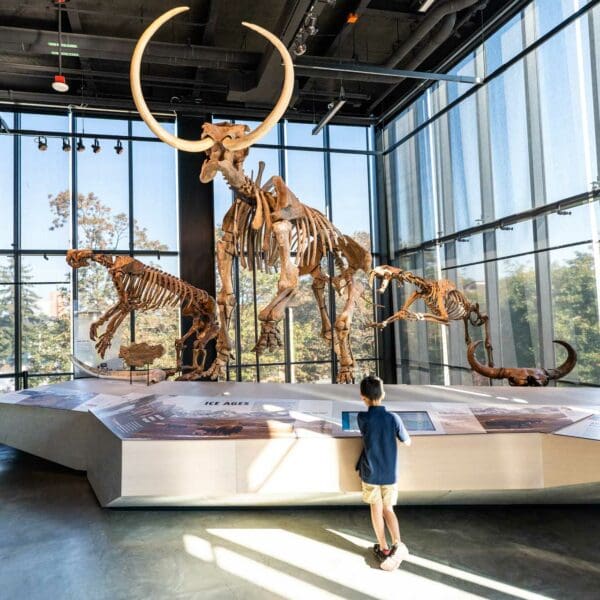 Hidden Gems | Seattle Premier Attractions