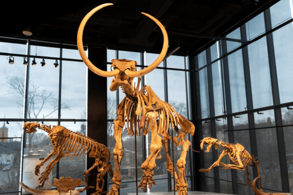 Things To Do During Summer In Seattle | Seattle Premier Attractions
