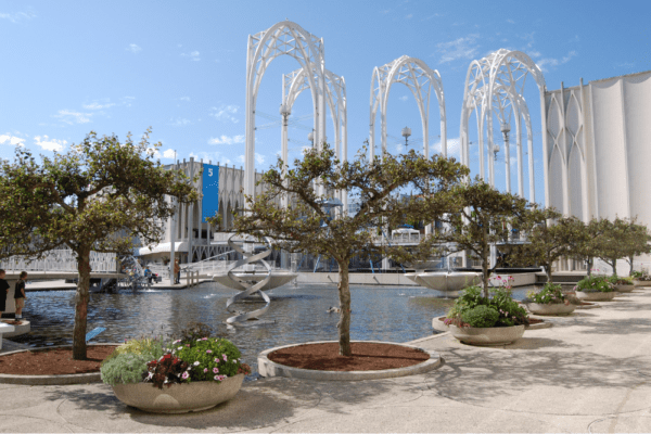 Things To Do During Summer In Seattle | Seattle Premier Attractions