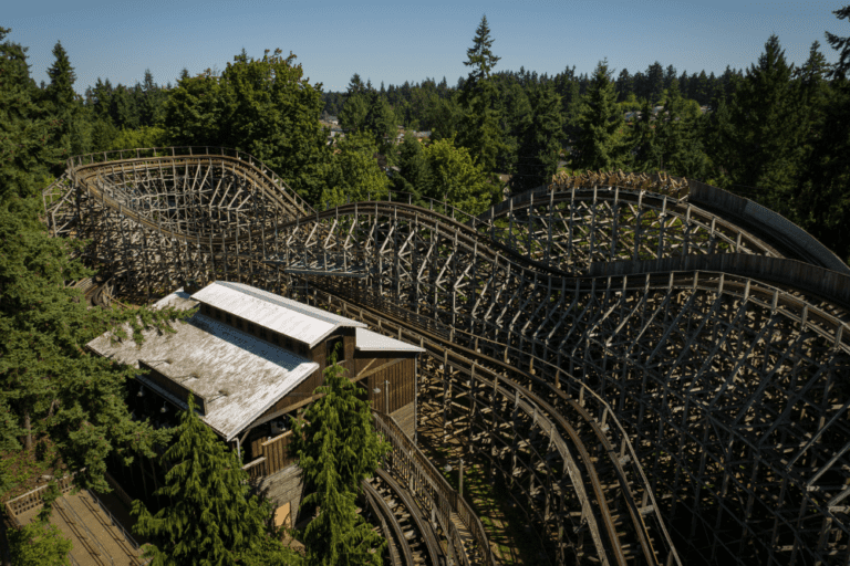 Things To Do During Summer In Seattle | Seattle Premier Attractions