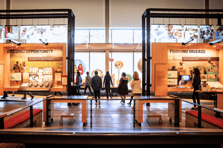 Things To Do During Summer In Seattle | Seattle Premier Attractions